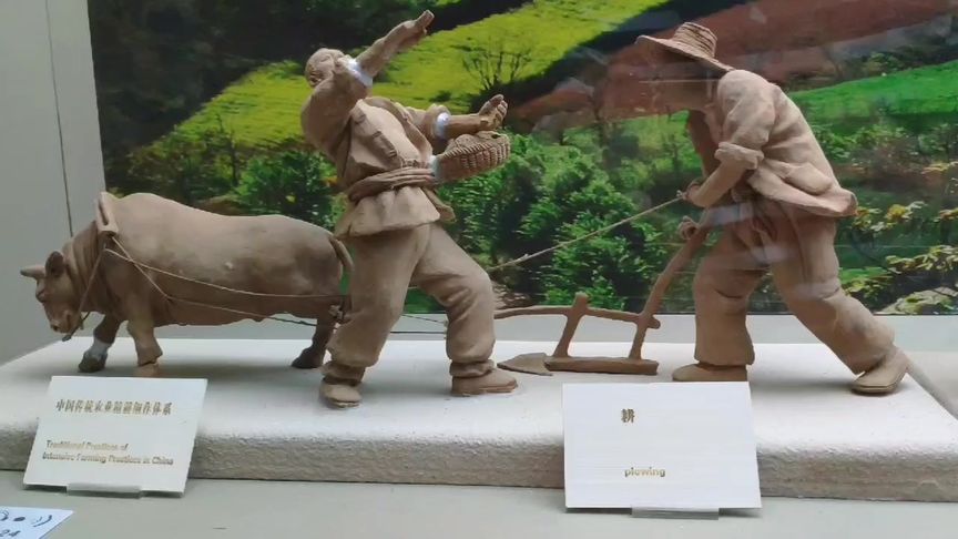 中国传统农业精耕细作体系,可以用七个字概括:耕,耙,耱,锄