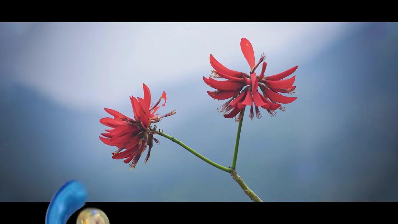 IP聚变,数字赋能,文创升维本次活动主KV以"遇见泉州"作为主概念,主...