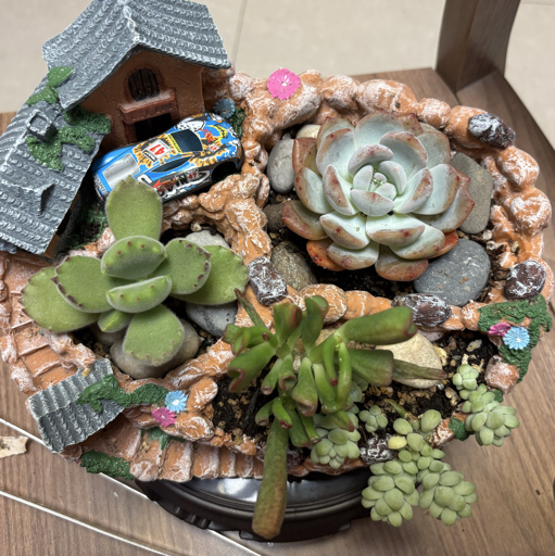 鹿的秘密花园 