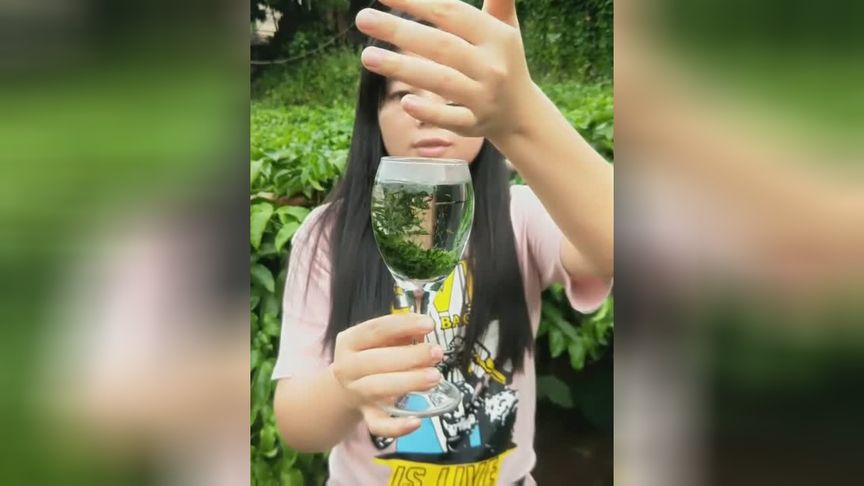 看看这小叶苦丁茶,你真觉得自己喝的是茶吗?