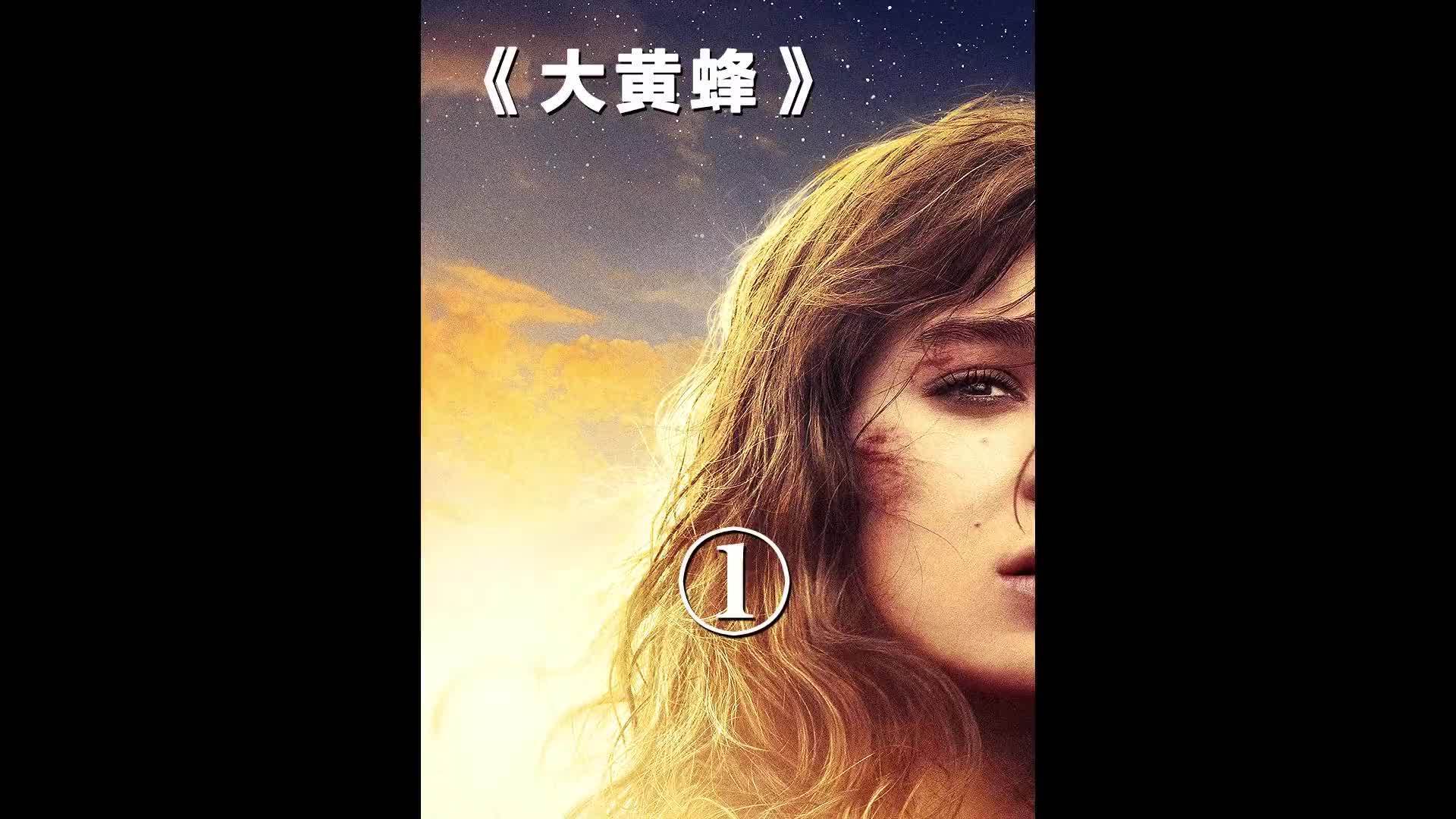 《大黄蜂》1千万别让自家宠物跟大黄蜂玩