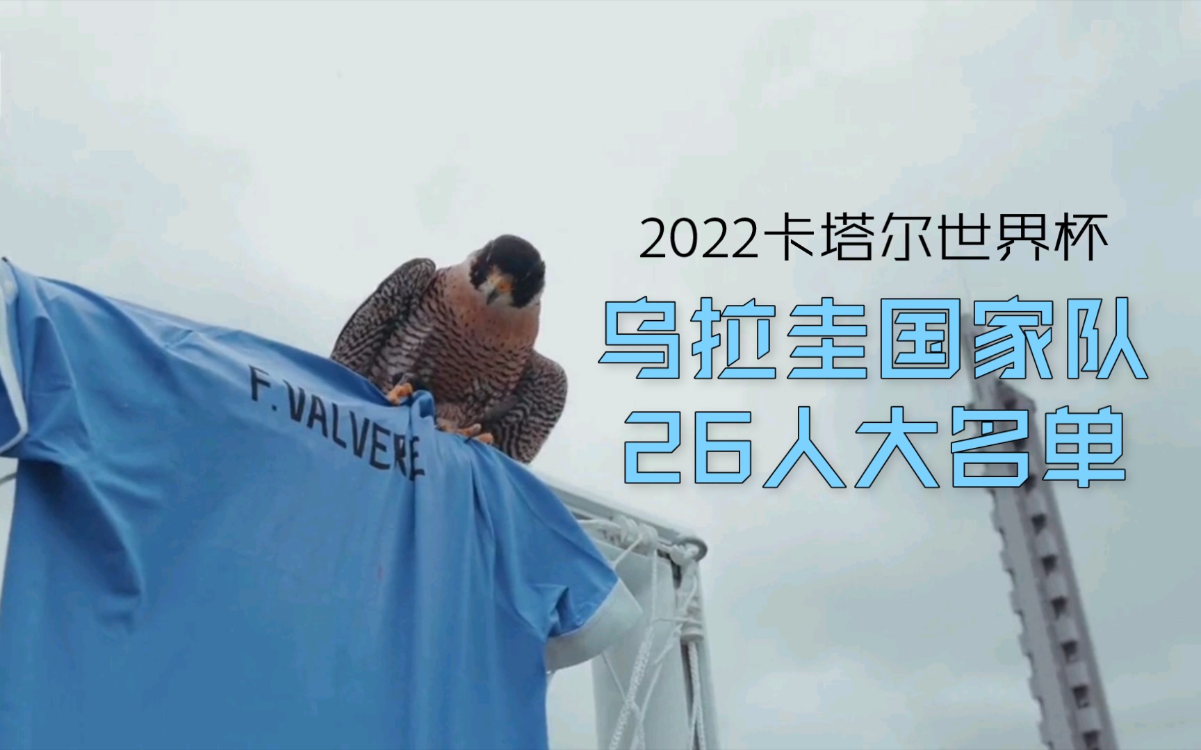 【卡塔尔世界杯】2022世界杯 乌拉圭国家队26人大名单