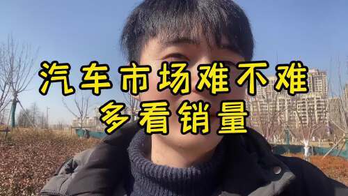 今年汽车市场难不难多看每个月销量情况