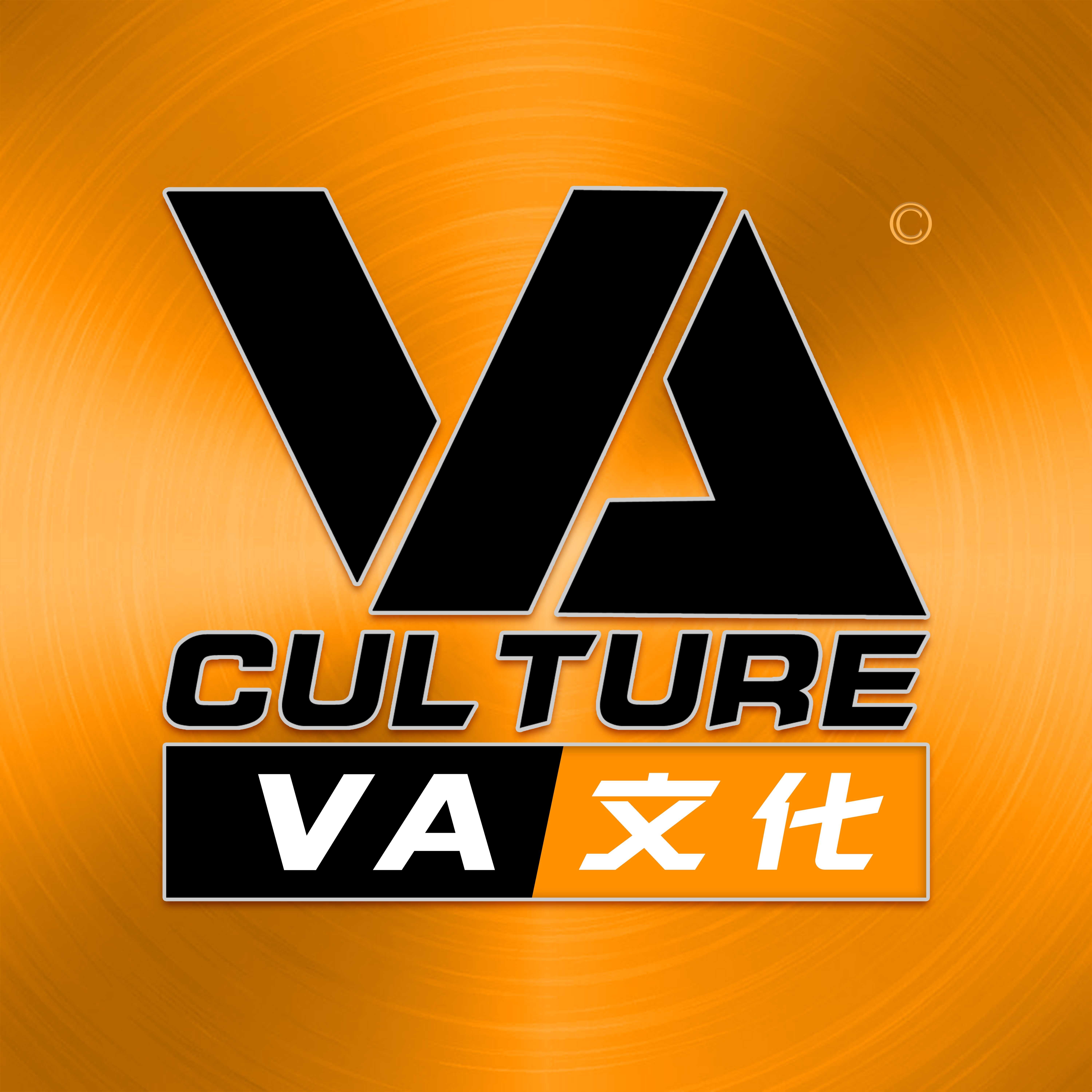 VA文化 