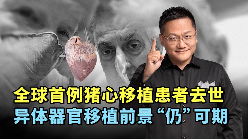 全球首例猪心移植患者去世,异体器官移植前景仍可期
