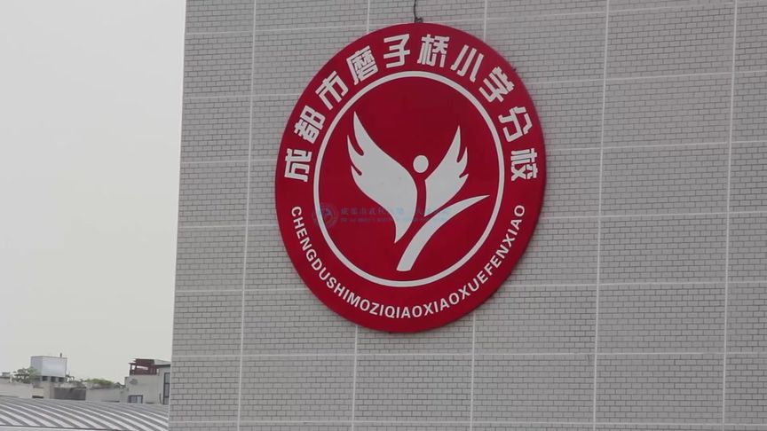 磨子桥小学分校禁毒宣传实录