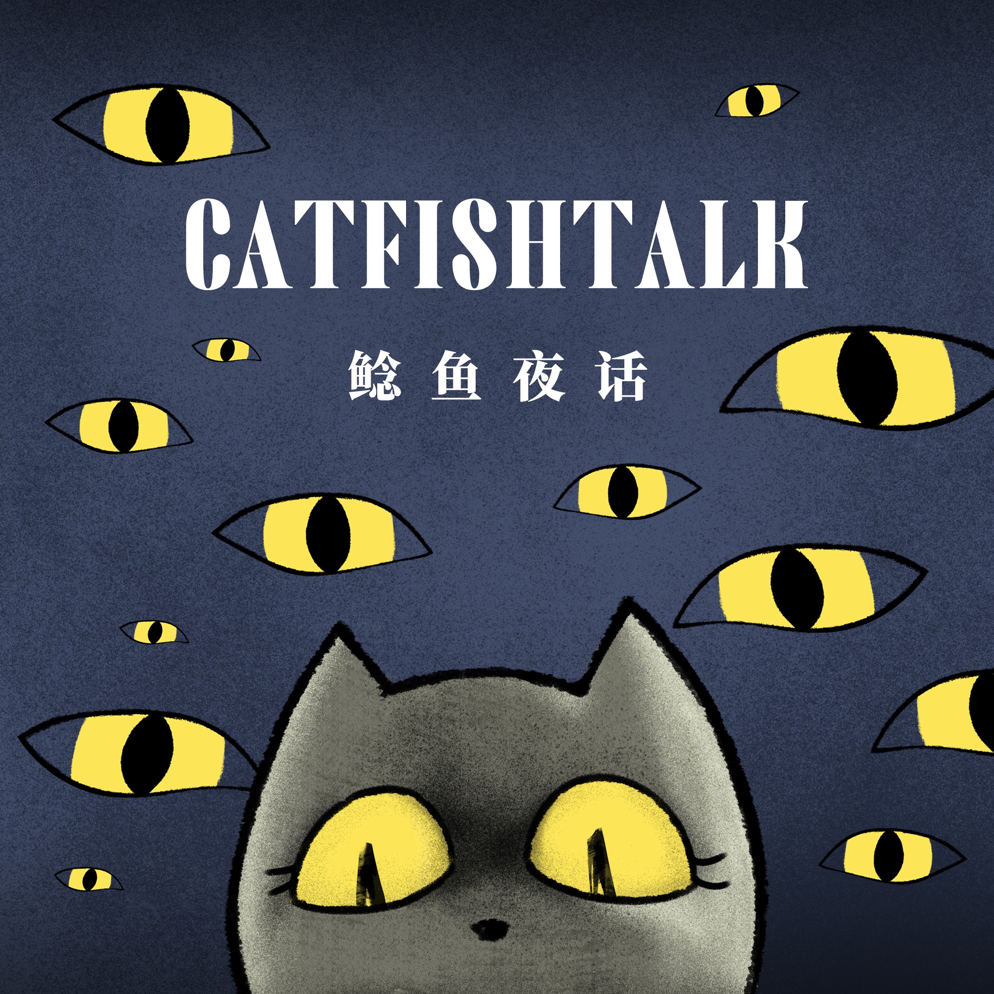 鲶鱼夜话 