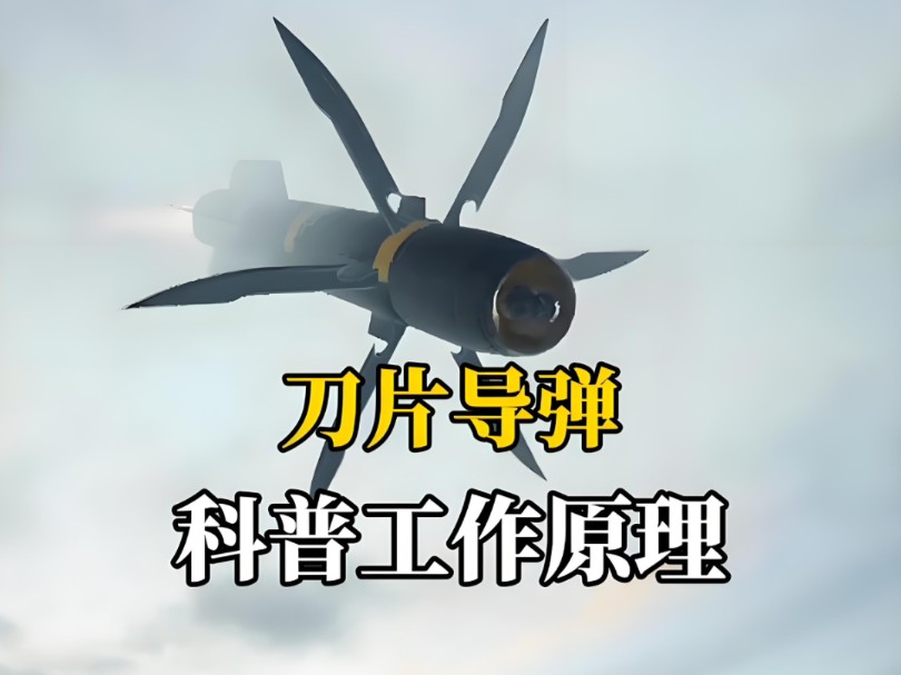 刀片导弹也称为斩首导弹