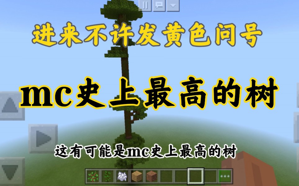 【我的世界】这是mc最高的树?! 你可能不知道树苗的三种特性