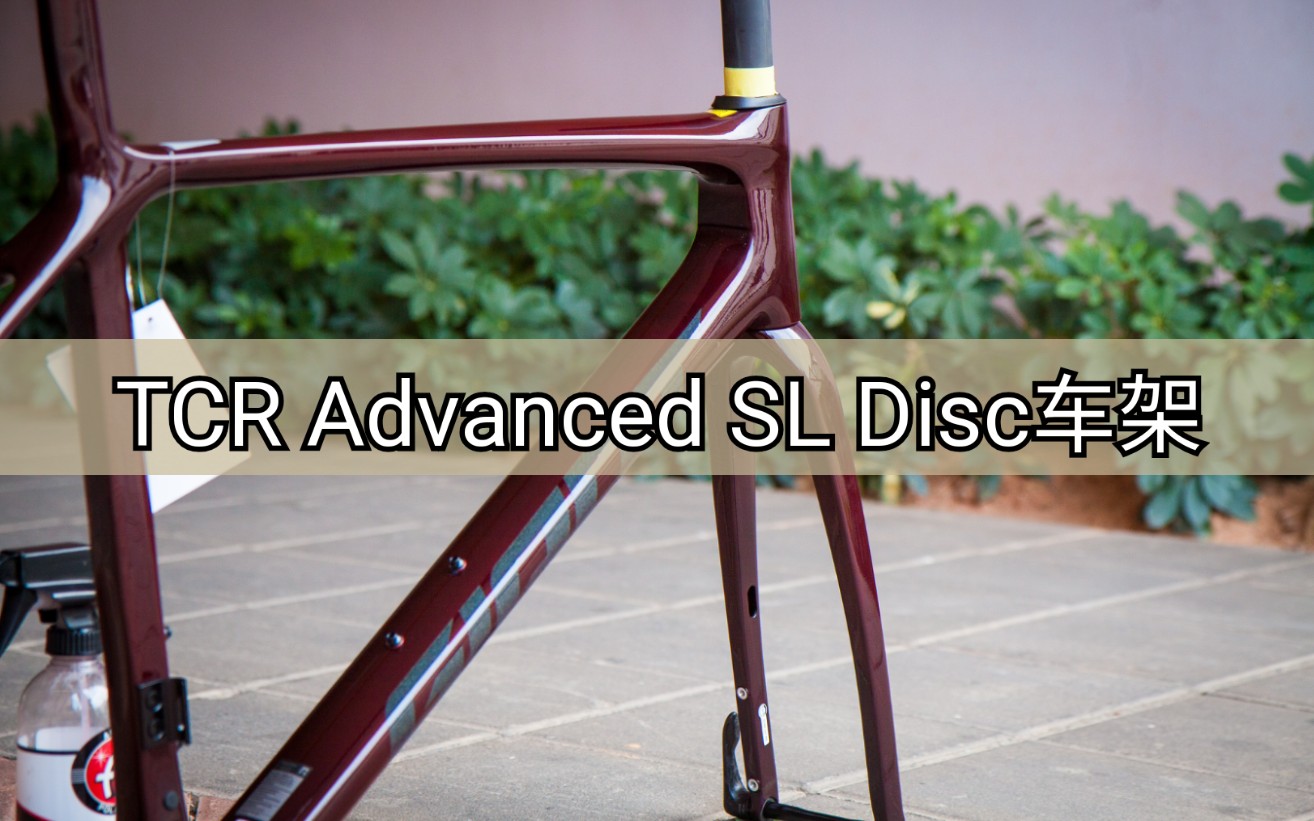 东莞小李单车vlog.33 捷安特顶级车架TCR Advanced SL Disc车架
