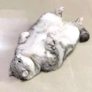 レイ-Rei 