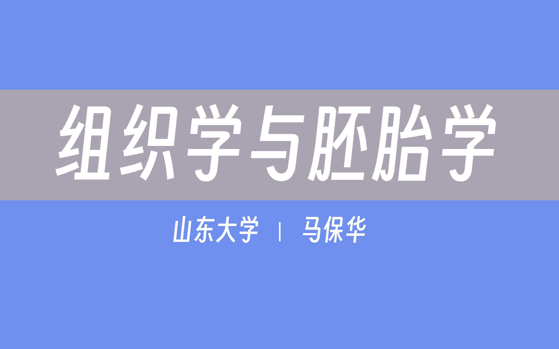 【SDU|HUST】组织学与胚胎学(合66讲)马保华 李和