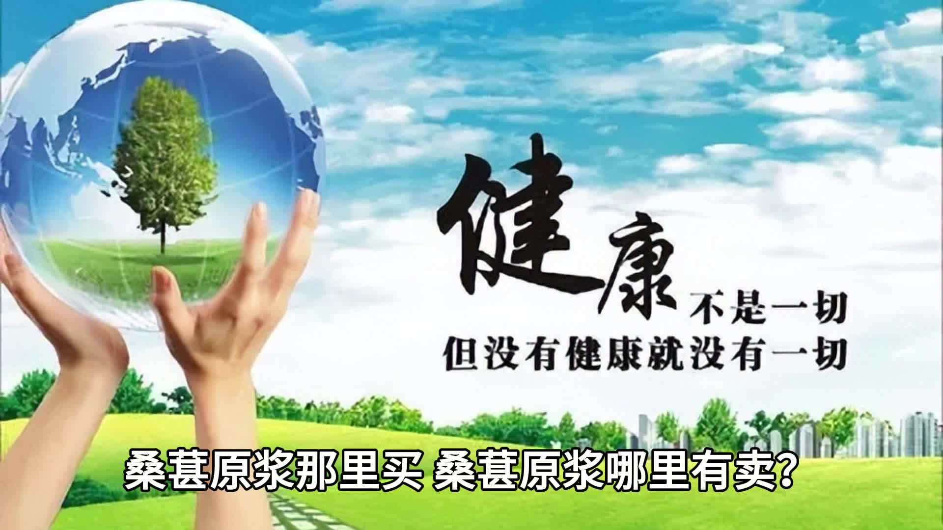 桑葚原浆那里买,桑葚原浆哪里有卖