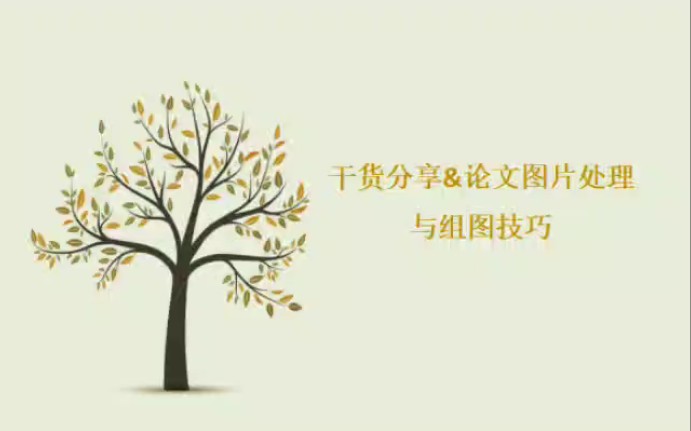 干货分享#论文指导