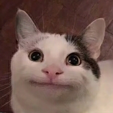你好哇同志 