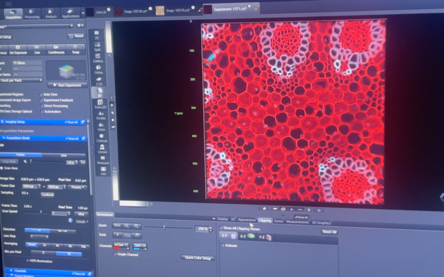 【Zeiss倒置激光共聚焦显微镜教学操作视频】生物实验必备技能
