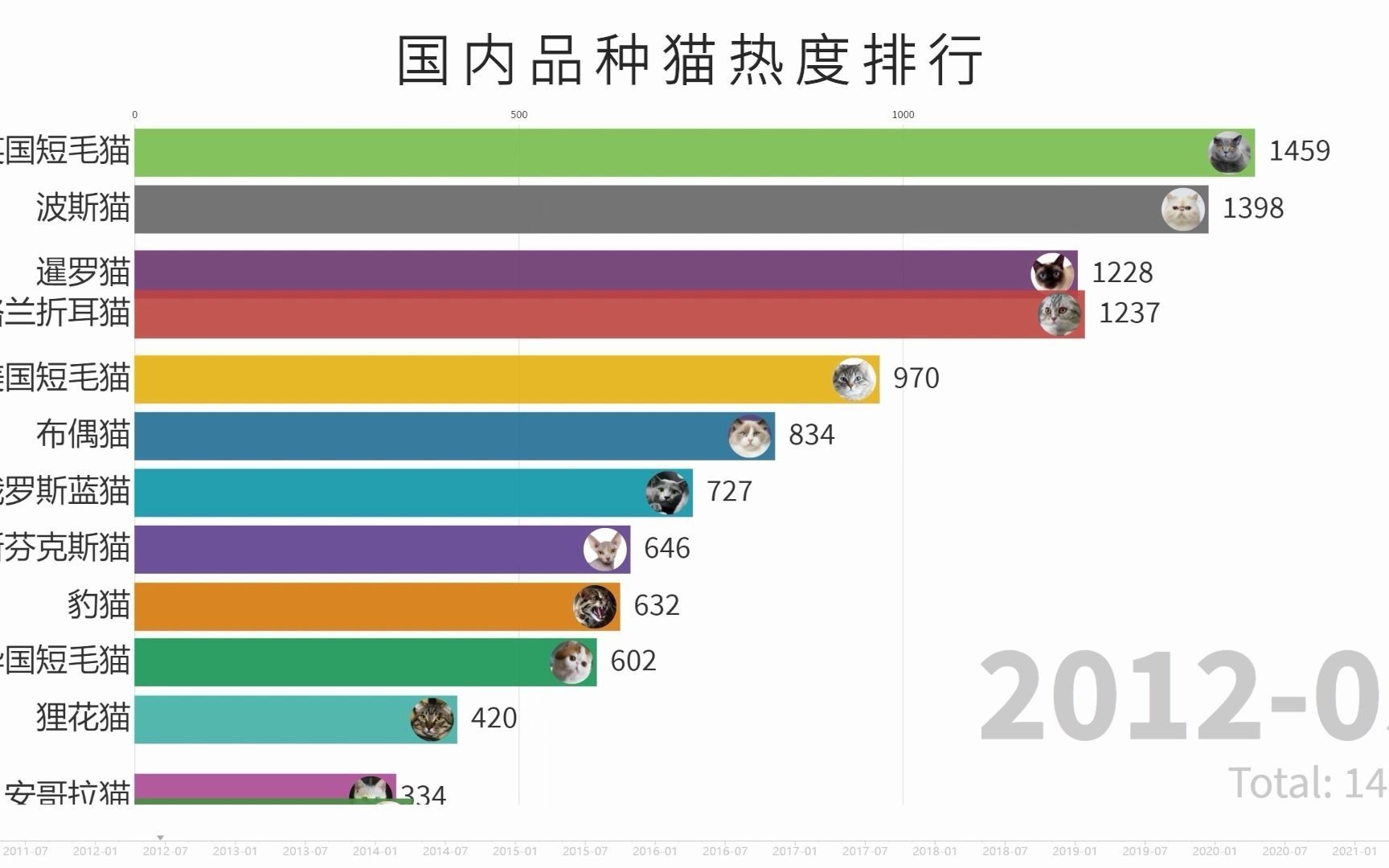 十年,国内品种猫热度排行变化,来看看你家猫咪有没有上榜~