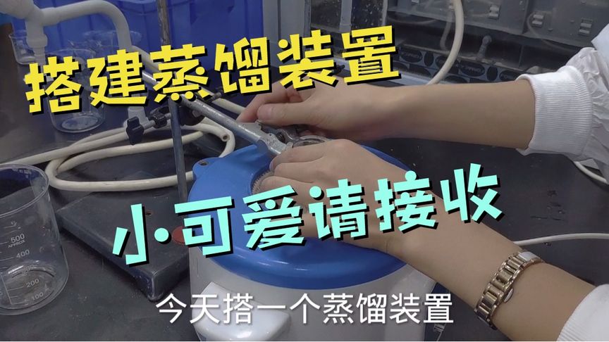 在火炉般的实验室里搭建蒸馏装置,做不了“花瓶”就做“树干”