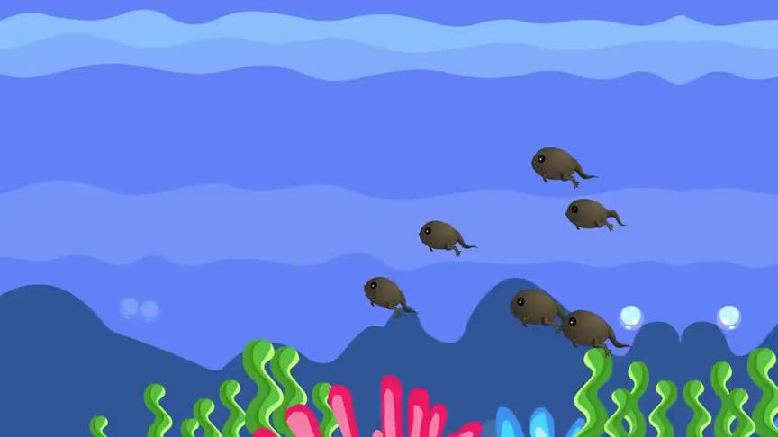 部编版小学二年级上册语文识字课文讲解麻豆动画 01