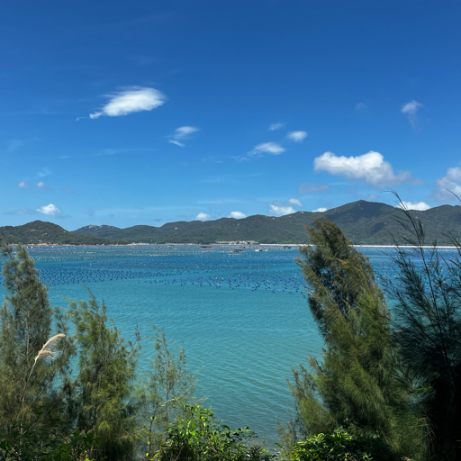加油鸡汤 