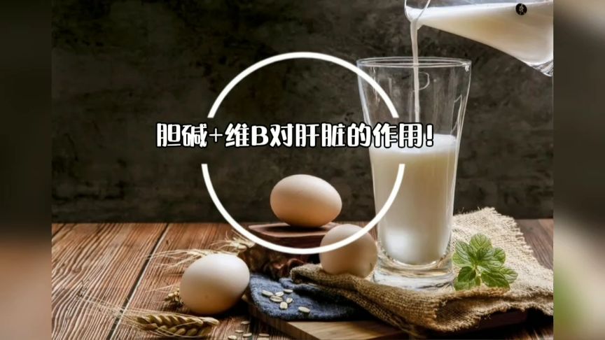 胆碱+维B对肝脏的作用!