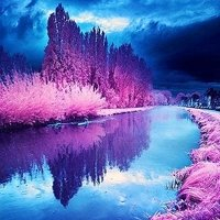 小凯脑斯 