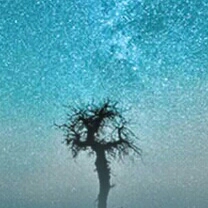当年满天星 