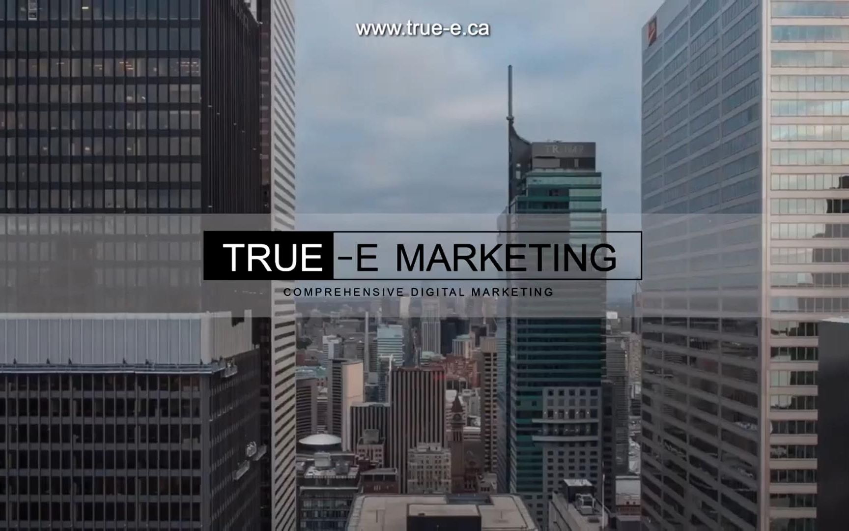 True-E Marketing公司介绍,北美顶尖数字营销公司,北美互联网营销研究院