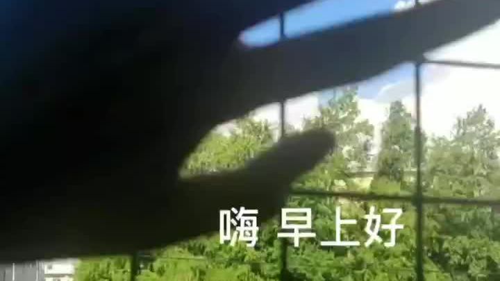 工作最重要做的开心! #不锈钢毛细管