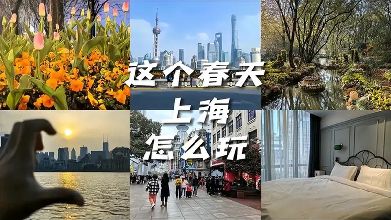 美如画的上海春天,应该怎么玩?这份上海4天3晚的春季旅游攻略