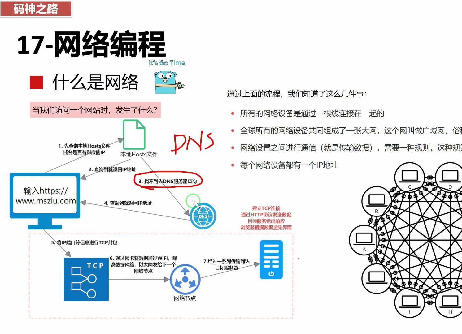 【2024Go入门教程】17-网络编程