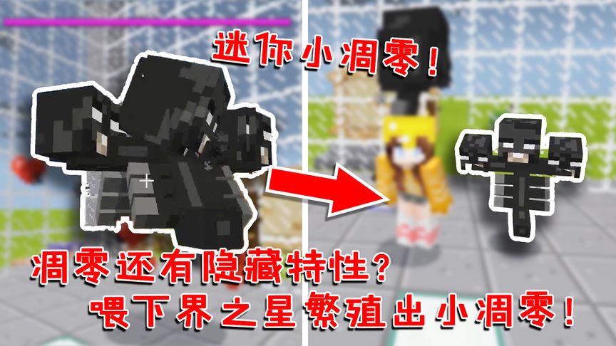 我的世界:凋零还有隐藏特性?喂食下界之星能繁殖出迷你小凋零!