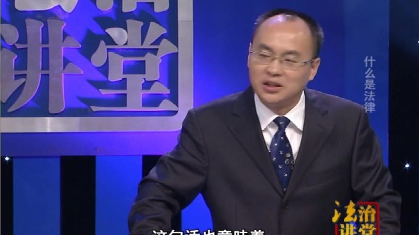 法律由国家制定认可,法律的权利和义务,讲师从这两方面说起