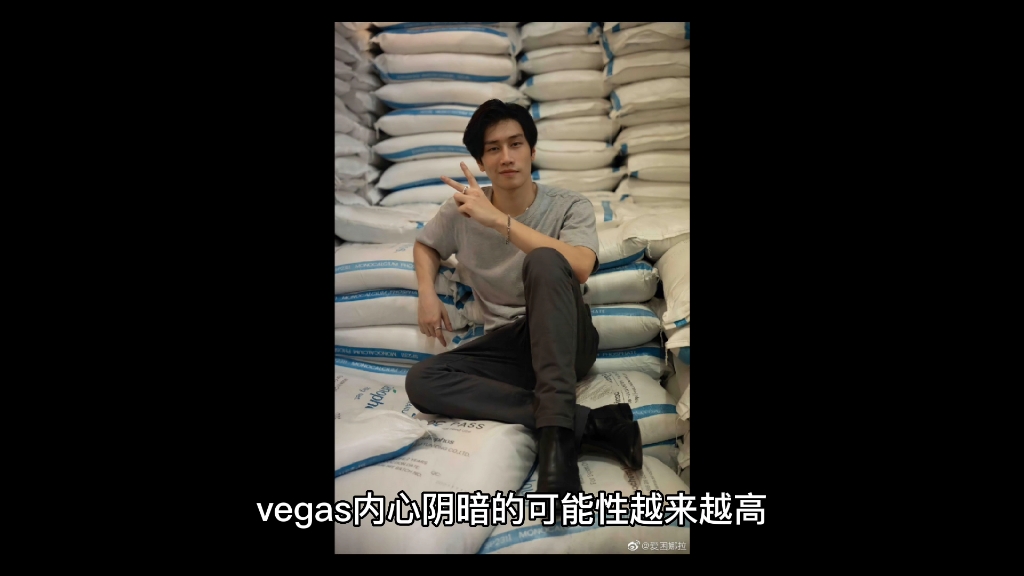 Vegas人物浅析