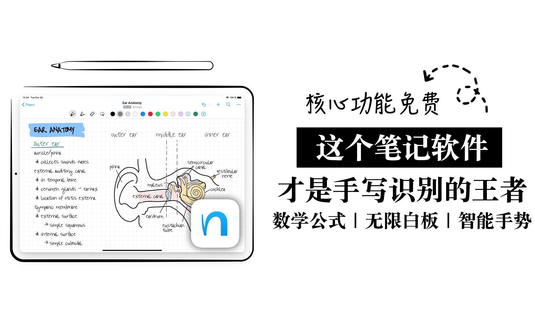 【安卓iPad都能用的手写笔记软件】NEBO 手写识别的王者