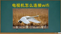 电视机怎么连接wifi无线网?洪哥用小米电视机4X进行操作演示