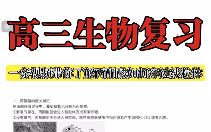 高三生物复习—丙酮酸如何跨膜运输进入线粒体
