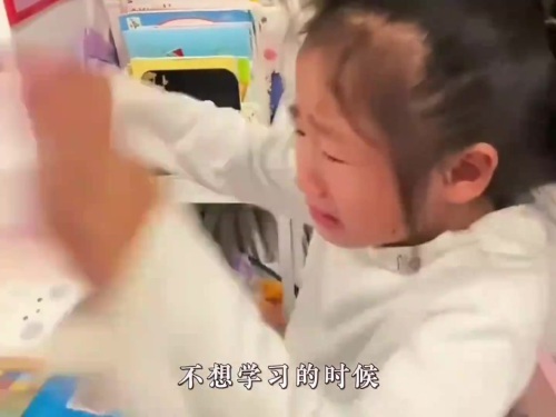 当传统教育与现代理念碰撞,这对家长的选择究竟能否改变孩子的未来?