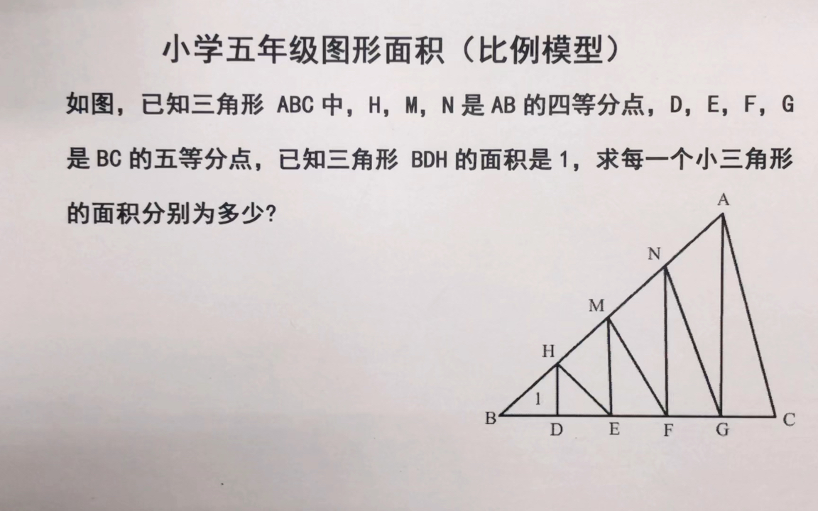 小学五六年级图形面积比例模型(六)