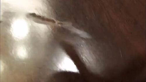 家具破损教你们自己修复,我只能帮到这