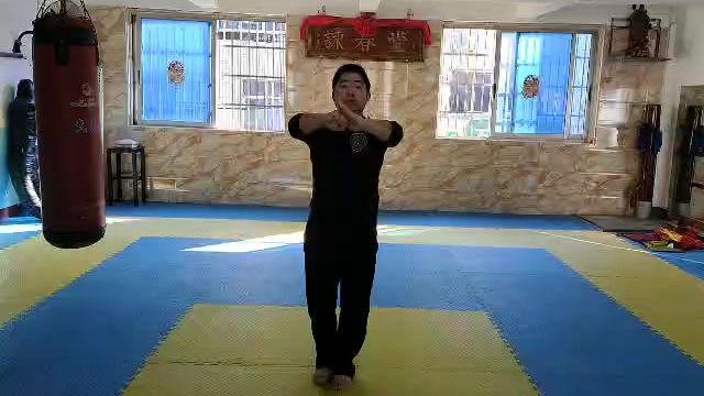 中国武术最简单最重要《五步拳》1到4个动作套路+3个基本功步形。