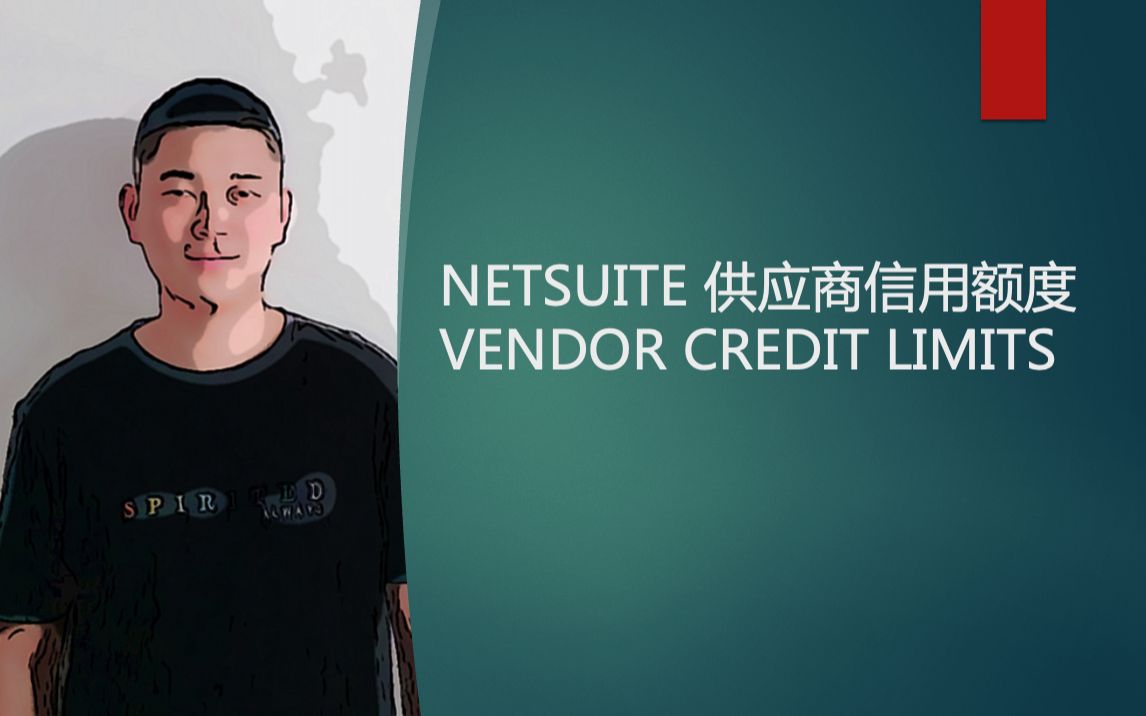 NETSUITE 供应商信用额度 VENDOR CREDIT LIMITS