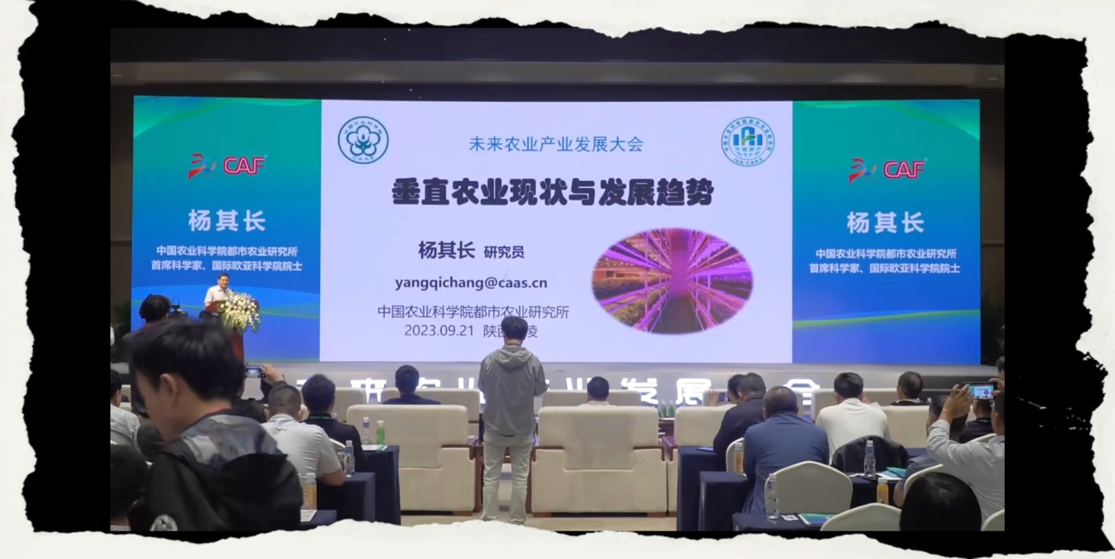走进植物工厂:揭秘未来农业的奥秘