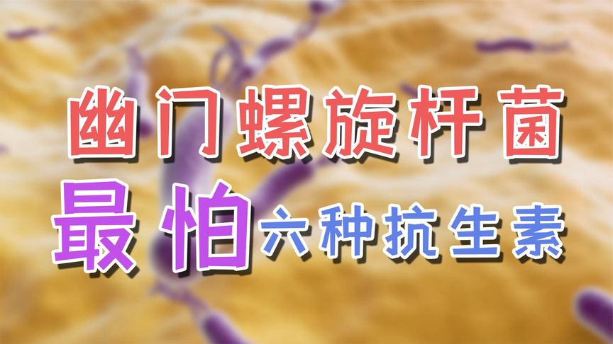 幽门螺杆菌"最怕"的6种抗生素,效果好副作用少,建议收藏备用