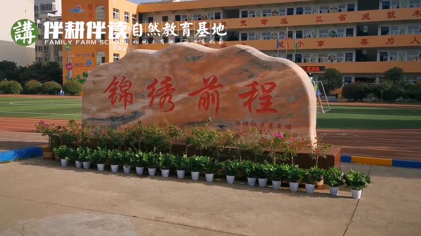 劳动教育实践活动(5)——锦绣小学第二批 #伴耕伴读#劳动教育