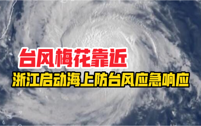 【台风“梅花”靠近】浙江省防指启动海上防台风应急响应