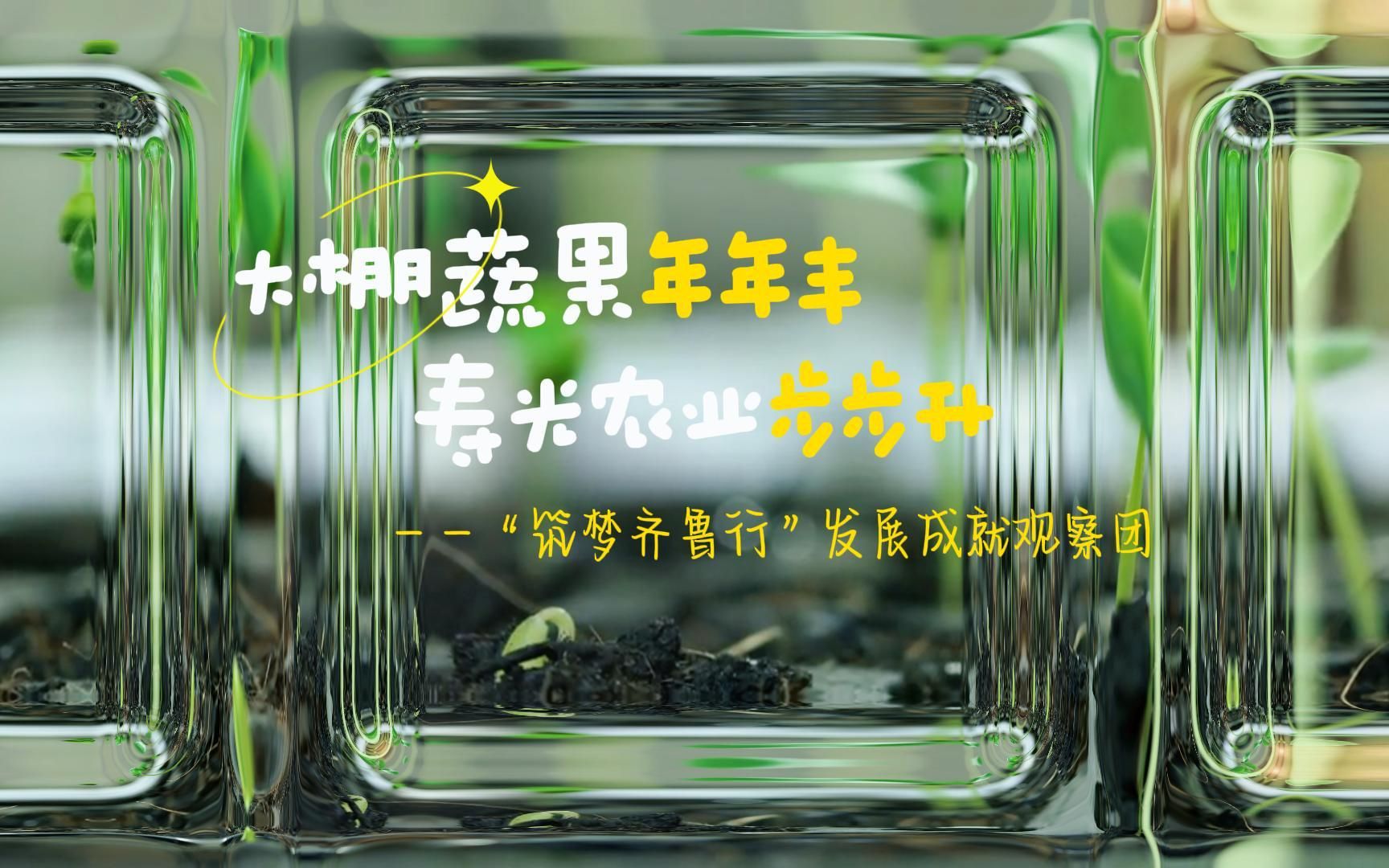 【三下乡】东北大学秦皇岛分校2023年暑期三下乡社会实践活动 筑梦...