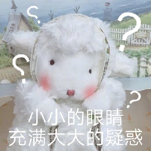 小羊_175 