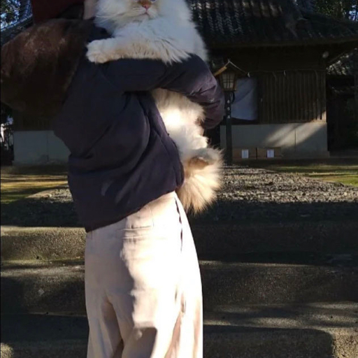 憨皮波斯得涂油 