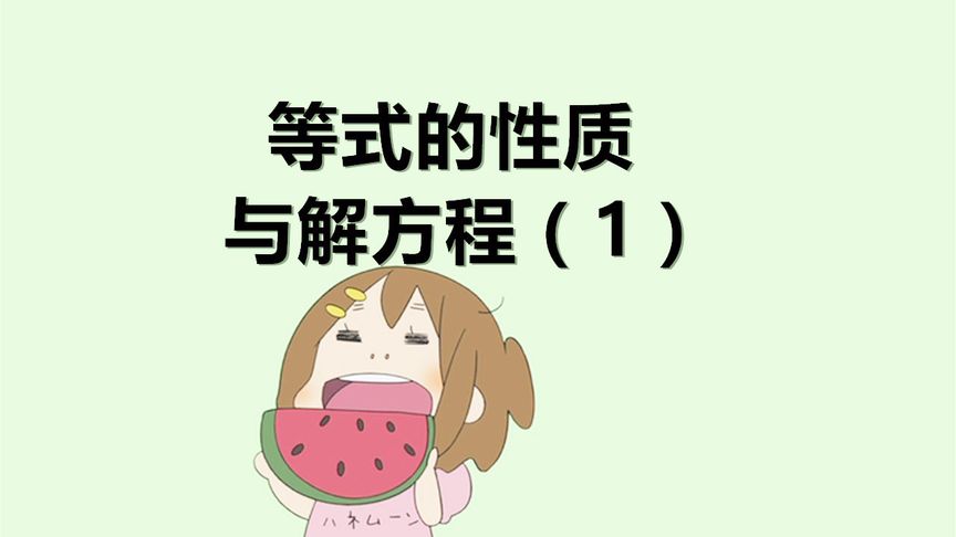 等式的性质与解方程(1)